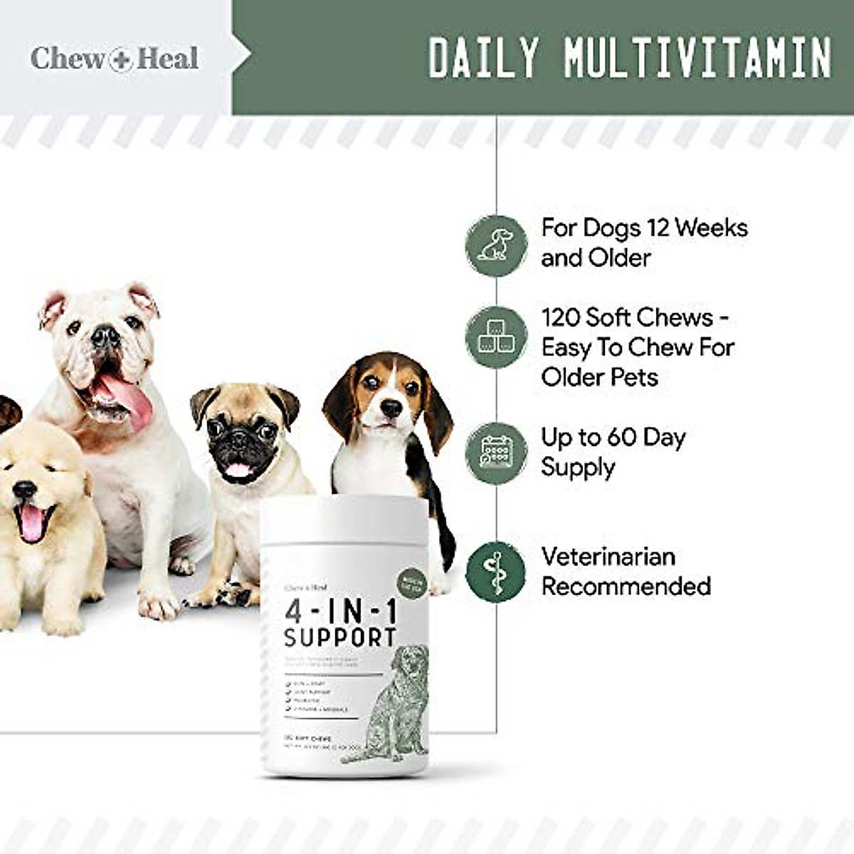 Chew + Heal All in 1 Dog Vitamin - 120 Soft Chew Treats - Chewable Multivitamin with Probiotics, Digestive Enzymes, for Skin and Coat, Hip and Joint Support - with Omega, Calcium - Made in The USA