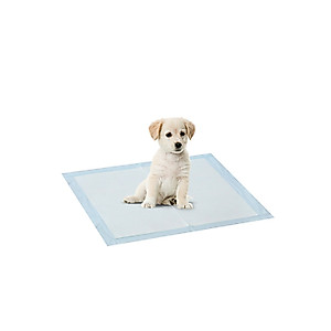 FURINNO FP10056 100 Count Pet Training Pads, Regular