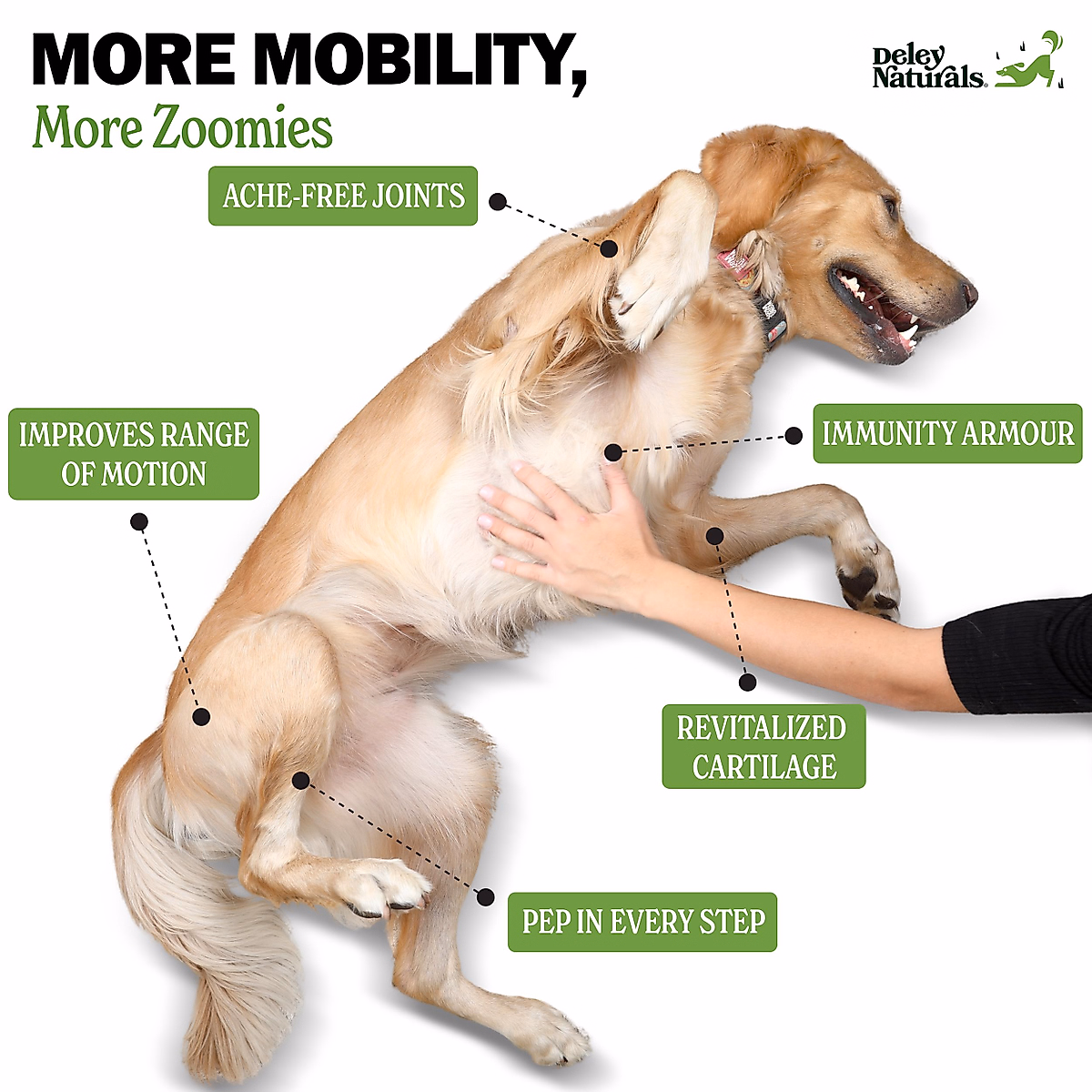 Deley Naturals Probiotics + Hip & Joint for Dogs, 2 x 120 Grain Free Chicken Soft Chews, Made in USA Dog Treats, Natural