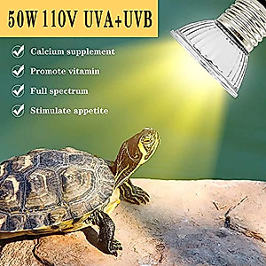 IOOTSEA Turtle Heat Lamp Tortoise Bulb: 50W UVB Reptile Heating Bulb for Lizards, Snakes, Aquarium Aquatic Reptile Amphibian - Terrarium Heat Lamps and Habitat Lighting for Pet Supplies
