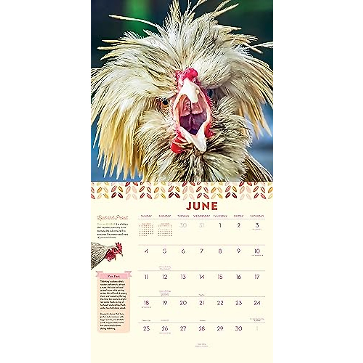 How to Speak Chicken Wall Calendar 2023: A Year of Chickens Doing What They Do & Saying What They Say