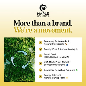 Biotin 10000mcg and Collagen Supplement - Hair Growth Supplement with Saw Palmetto for Women & Men - Horsetail Biotin Collagen Keratin and More DHT Blocker Hair Growth Vitamins for Women & Men 1 Month