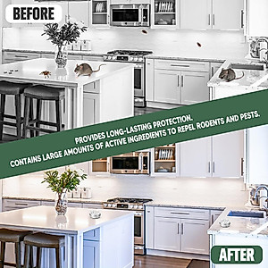 Two Bros. Repellent All Pest Repellent,Peppermint Rodent Repellent Indoor, Mouse Repellents, Mice Repellent, Rat Deterrent,Naturally and Strongly Repel Spider,Roach,Bugs,Ant, & Other Pests-2P, Black