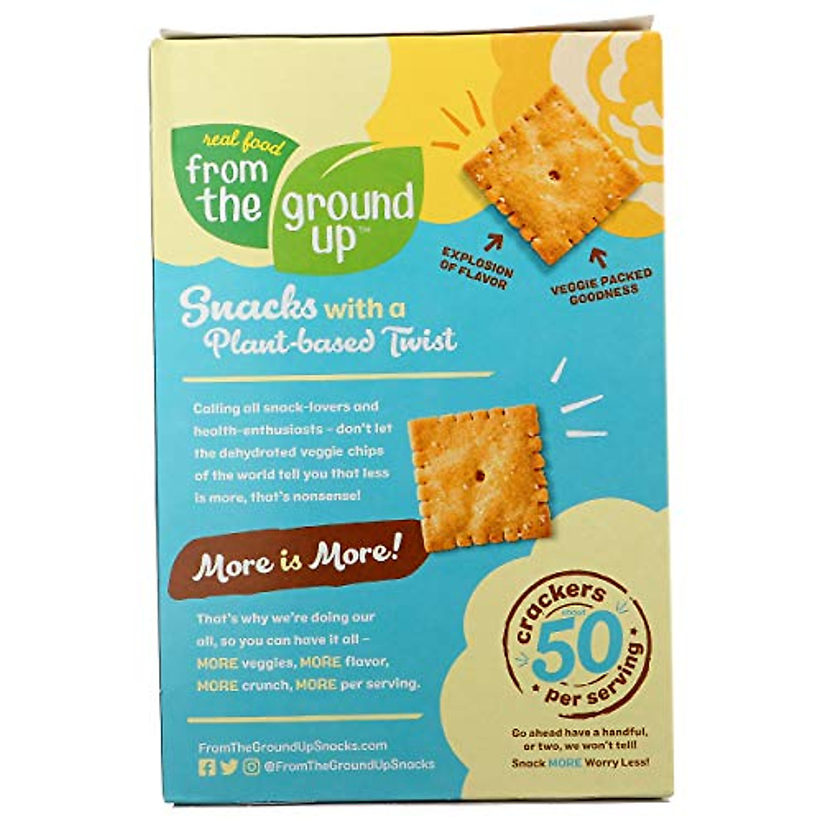 From The Ground Up, Cauliflower Crackers Sea Salt, 4 Ounce