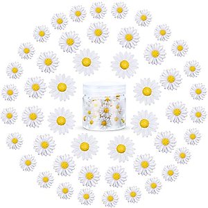 Hicarer 50 Pieces Flatback Resin Daisy Flowers Daisy Flower Epoxy Charms Mini Decorated Daisies Artificial with Storage Box for DIY Craft Cloth Pen Box Home Decoration, 3 Sizes (White and Yellow)