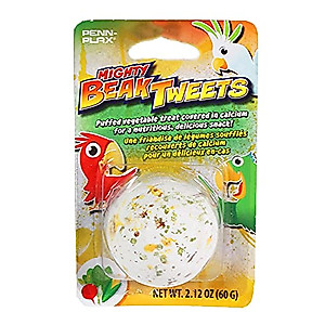 PENN-PLAX Small Bird Starter Kit with Birdcage and Accessories – Great for Parakeets, Lovebirds, Parrotlets, Finches, Canaries, and More – Arch Style Cage – White