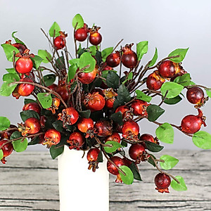 Group of 5 Artificial Rosehip Berries Simulation Pomegranate Fruit Floral Accessories (Red)