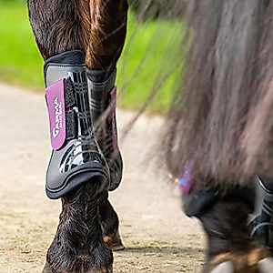 Shires ARMA Tendon Boot (Plum, Cob)