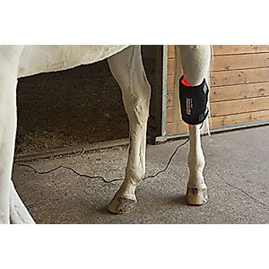 Gospel's Medium Light Therapy Pad with Case