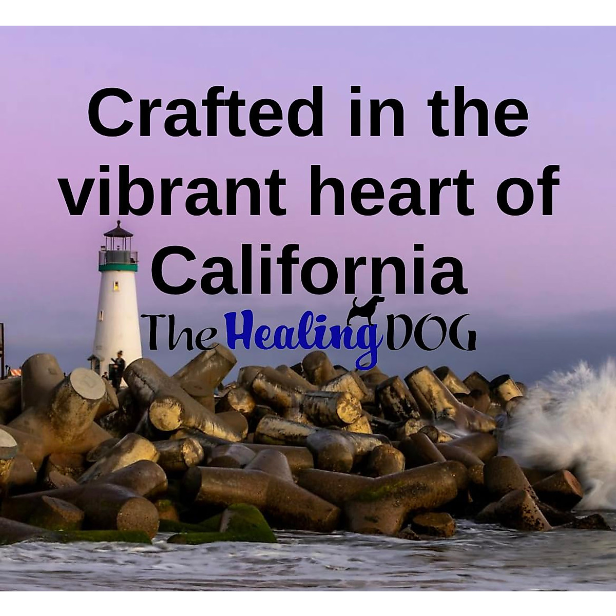 The Healing Dog: Hemp Drops for Dogs & People - 2000mg