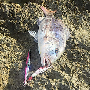 Fishing Squid Skirts Glow Soft Lures Luminous Octopus Skirts Trolling Lure Soft Fishing Bait for Bass Salmon Trout 5cm/1.96in,9cm/3.54in,11cm/4.33in Pack of 20 (4-1/3", Beige)