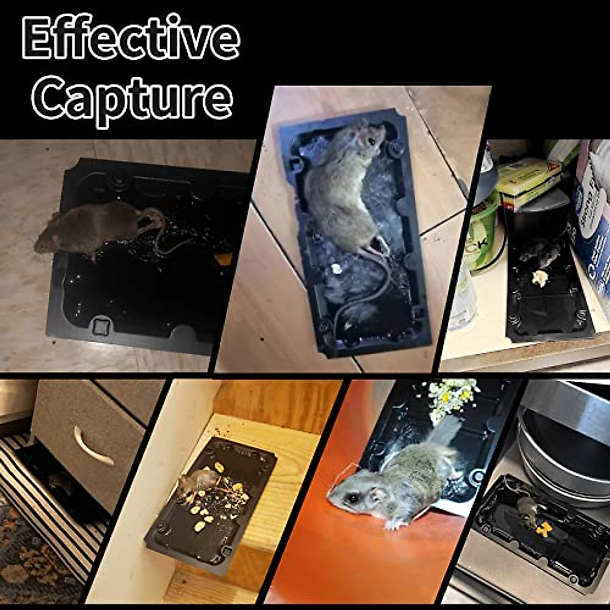 10 Pack Sticky Mouse Trap Rat Traps Indoor, Mouse Traps Indoor for Home, Glue Traps for Mice and Rats, Snake(Large Size)