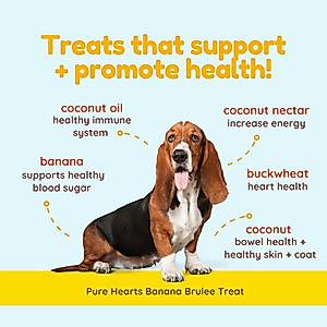 CocoTherapy 3 Pack of Banana Brulee Pure Hearts Coconut Cookies, 5 Ounces Each, Organic Dog Treats Made in The USA
