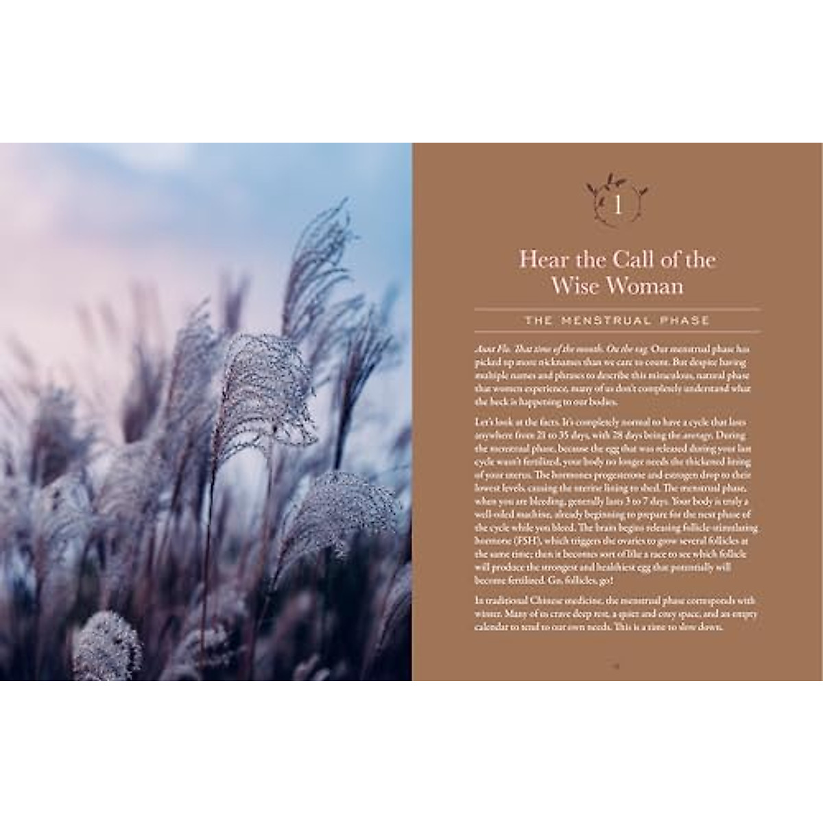 The Moon Cycle Cookbook: A Holistic Nutrition Guide for a Well-Balanced Menstrual Cycle