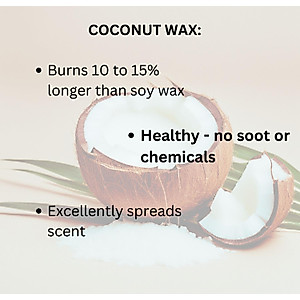 Scented Candle Coco Chanel no 5 Perfume Version, Elegant Womens Fragrances, Gifts for Women, Home Luxury Scents, Organic Coconut Wax Candles, Long Lasting Clean 50 Hour Burn, Coffee Table Decor, USA