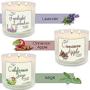 Candles for Home Scented, 3 Pack 3 Wick Large Jar Soy Candle,40.2 oz 300 Hour Long Lasting Candles,Lavender & Sage & Apple Cinnamon Aromatherapy Candle Gift Set