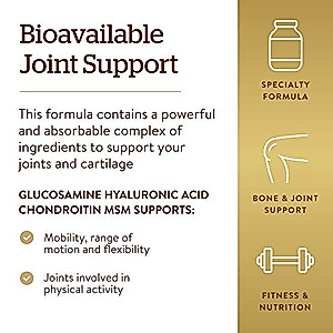 Solgar Glucosamine Hyaluronic Acid Chondroitin MSM, 120 Tablets - Supports Healthy Joints & Range of Motion & Flexibility - Extra Strength, Shellfish Free - Non-GMO, Gluten Free - 40 Servings