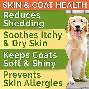 Fish Oil Omega 3 Treats for Dogs + Probiotics for Dogs Bundle - Joint Health + Advanced Allergy Relief Dog Probiotics Chews - Alaskan Salmon Oil + Digestive Enzymes - 120+180 Soft Chews - Made in USA