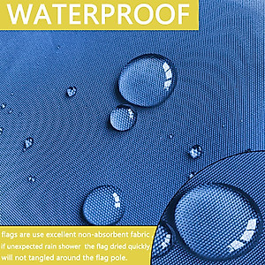 Double Sided Ukraine Flag 2x3 ft Outdoor- Ukrainian National Flags Heavy Duty 210D Polyester with Brass Grommets