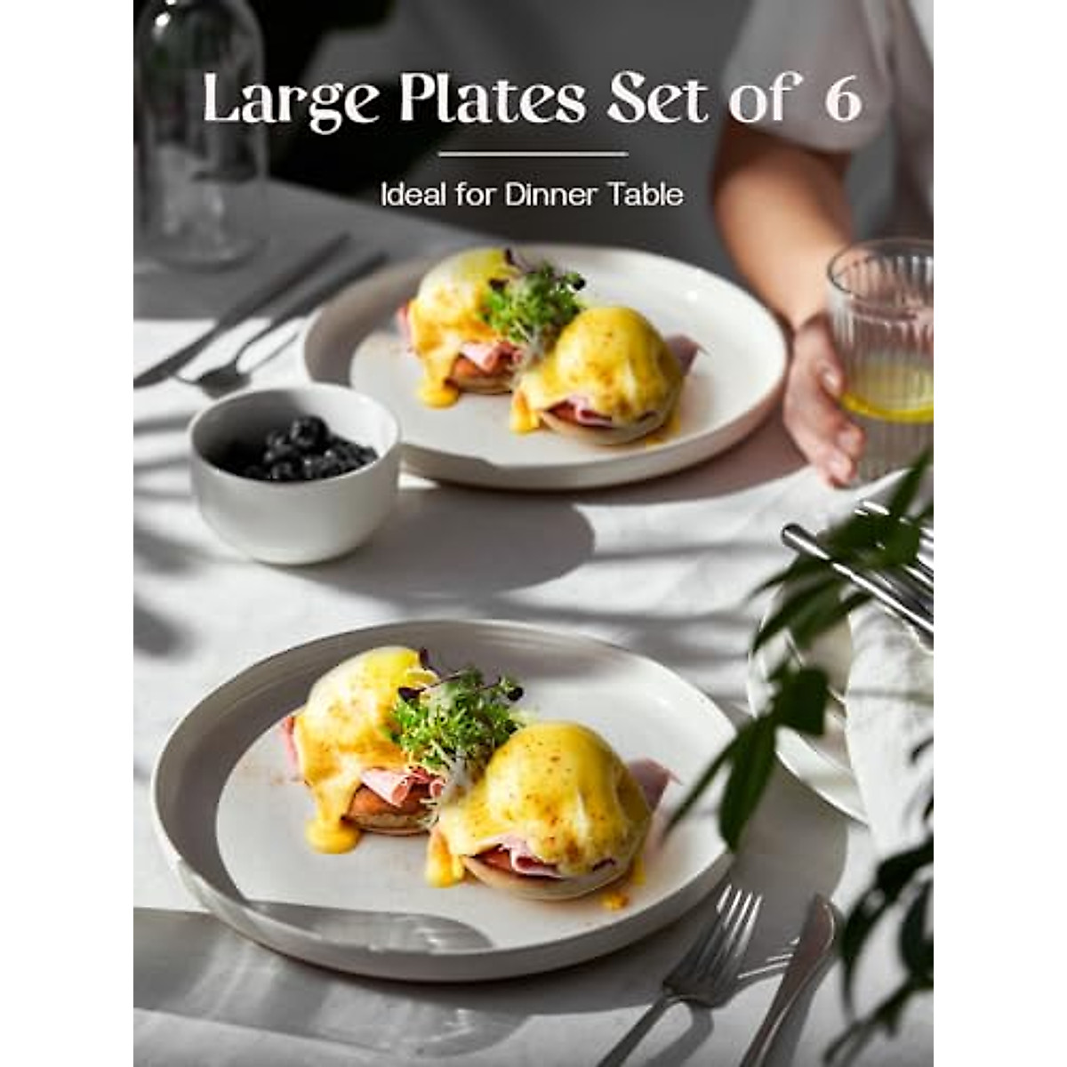 DOWAN 10.5” Moon-White Sesame Glaze Large Dinner Plates Set of 6, Porcelain Ceramic, Microwave, Oven & Dishwasher Safe, Elegant Design Perfect for Daily Dining, Family Gatherings, Parties & Gifts