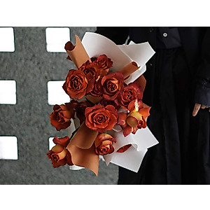 BBJ WRAPS Korean Style Waterproof Floral Wrapping Paper Single Color Bouquet Wrapping Paper Roll for Flowers, 22.8 Inch x 8 Yard, 1 Roll (Beige White)