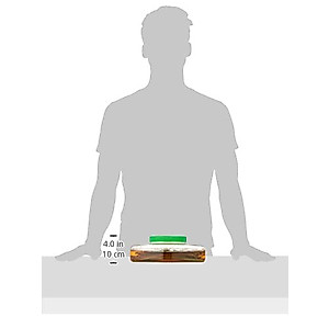 Berkley Gulp! Alive! Sandworm Camo, 6in - Pint 4x7