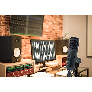 CAD Audio U49 USB Large Format Side Address Studio Microphone with Headphone Monitor and Echo,Black