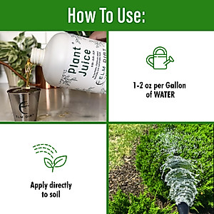 Elm Dirt Plant Juice Organic Fertilizer for All Plants - Indoor or Outdoor (1 Bottle)