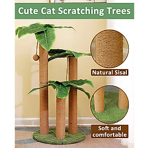 BNOSDM 35" Tall Cat Scratching Posts for Adult Cats Coconut Tree 3 Sisal Rope Claw Scratcher Dangling Ball Kitten Scratch Post Kitty Activity Center for Indoor Outdoor Cats Kittens