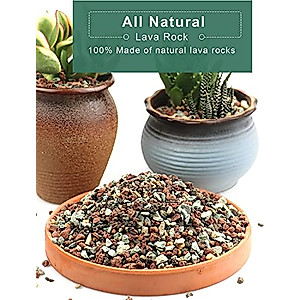 Succulent and Cactus Soil Gritty Mix Rocks, 6lb Bonsai Volcanic Gravel, Indoor Plant Drainage Lava Stones, Small Decorative Potting Pebbles for Terrarium Fairy Gardening and Houseplants Top Dressing