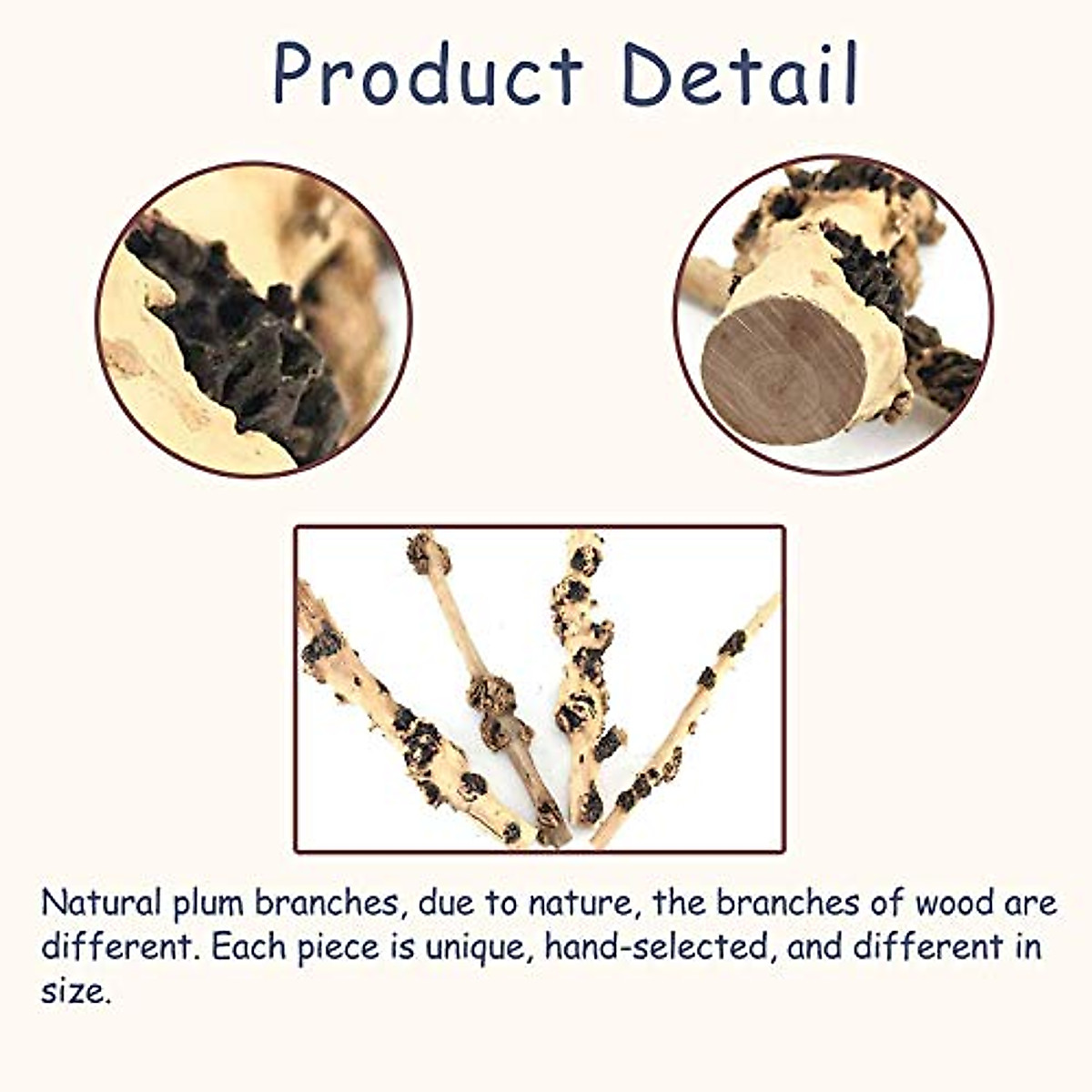 Tfwadmx Aquarium Driftwood Natural Forest Branch Trees Terrarium Wood Tree Reptile Branches Ornament Habitat Fish Tank Decoration(4 Pcs)