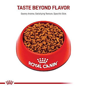 Royal Canin Feline Health Nutrition Sensitive Digestion Cat Food Dry Formula, Balanced Nutrition to Support Digestive Health, 7 lb Bag