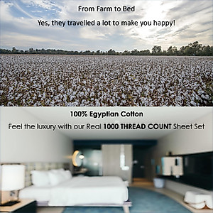 EXTRA 24" DEEP POCKET of the fitted sheet, Real 1000-Thread-Count, 100% Egyptian Cotton |Queen Size, Taupe Color| 4 PC Sheet Set, 1000TC Egypt Long Staple Cotton, Breathable Soft Silky Sateen Weave