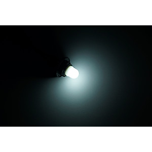 PA LED 10PCS #555 T10 w5w 2 SMD 2835 LED Wedge Pinball Machine Light Top View Bulb 6.3VDC (White)