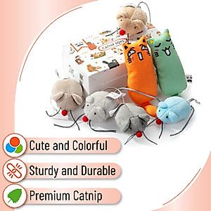 Mr. Pen- Catnip Toys, 7 Pcs, Mouse Cat Toy, Catnip Toys for Indoor Cats, Cat Nip Toys, Catnip Toys for Cats, Mouse Toy for Cats, Cat Toy Mouse, Toys with Catnip, Cat Toys Mice