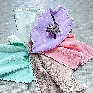 WCDJOMOP 5 Pcs Sugar Glider Blanket, Hamster Fleece Cage Liners, Soft Warm Pet Bedding Mats Sleep Pad Cover Bath Towels for Hamster Guinea Pig Rabbit Squirrel Chinchilla Hedgehog (30x30cm, 5 Pack)