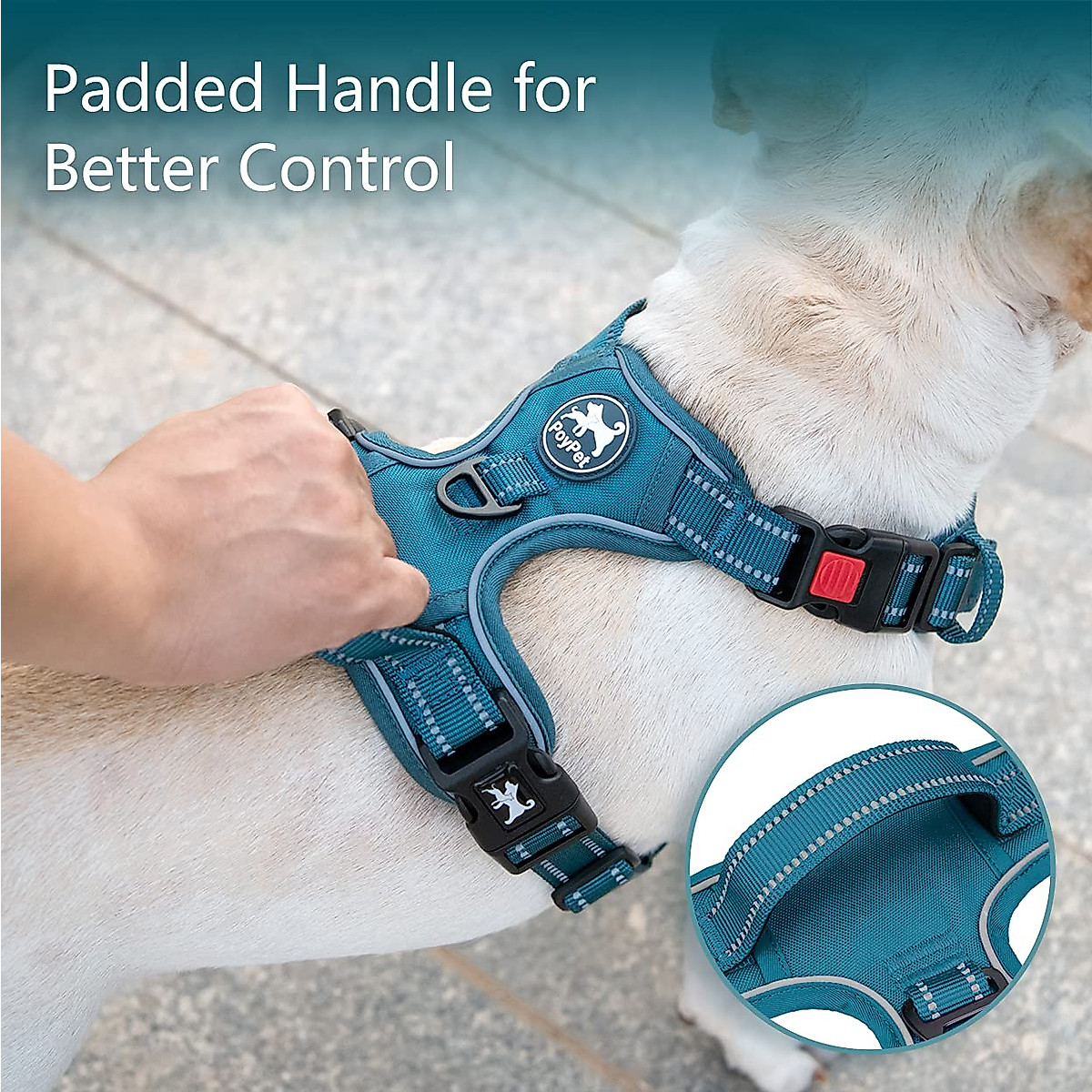 PoyPet No Pull Dog Harness, No Choke Reflective Dog Vest, Adjustable Pet Harnesses with Easy Control Padded Handle for Small Medium Large Dogs(Tumalo Teal,S)