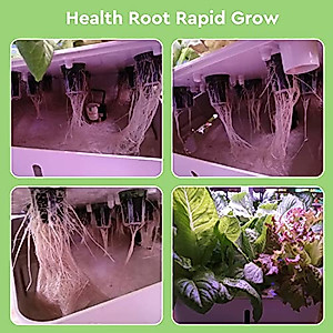 moistenland 50-Pack Compatible Seed Pod Sponges, Seed Starter Sponge Pods Replacements, Root Growth Sponge Plugs for Hydroponic Indoor Garden kit Seed Starting (Seeds Not Included) (50)