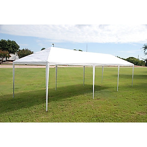 DELTA Canopies 10'x30'/12'x30'/15'x30' PE Wedding Party Tent Gazebo (10'x30' PE Tent)