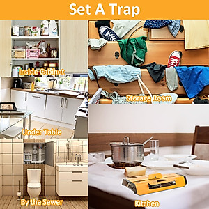24 Pack Roach Traps Indoor Roach Killer Indoor Infestation, Cockroach Killer Indoor Home Bug Glue Trap Sticky Traps for Insects