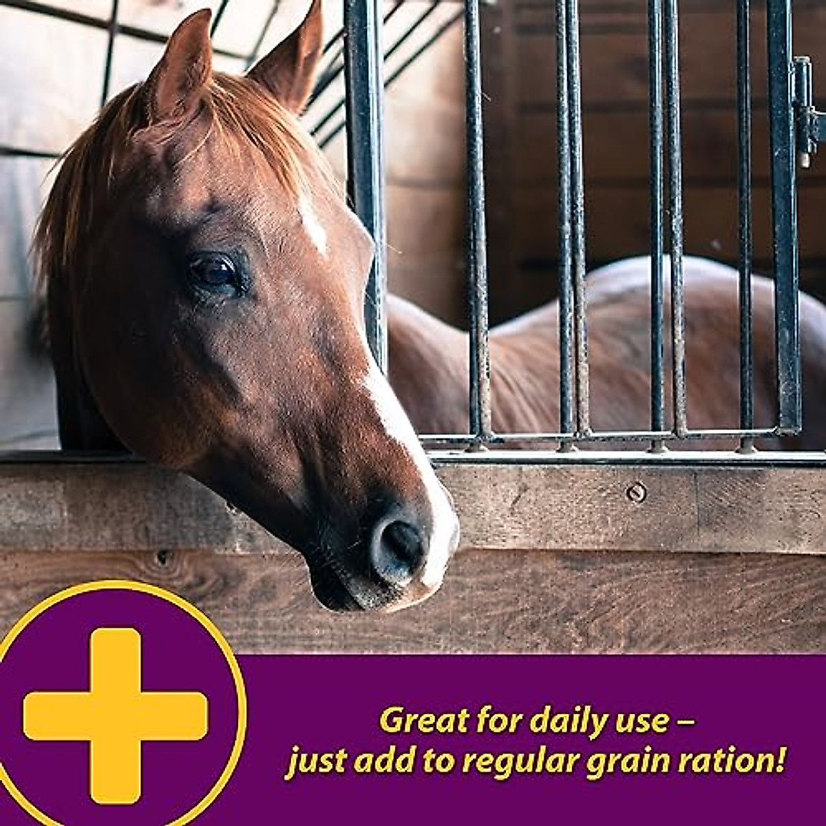 Horse Health Apple-Dex Apple Flavored Electrolytes for Horses, Replaces minerals lost during exercise, under stress or extreme weather conditions, 5 pound