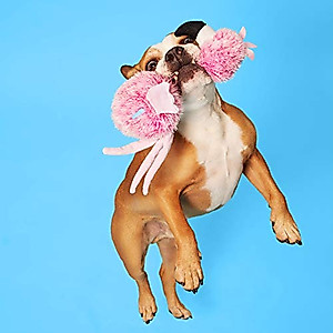 Barkbox Dog Rope Toys - Durable Tug Toys for Chewers, Puppy Teething, and Small, Medium, and Large Dogs | Bert of Paradise