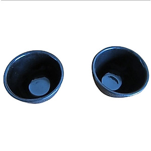 Rluii Japanese Cast Iron Tea Cup Teacup/Black Hobnail （2pcs）