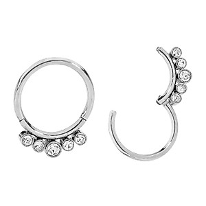 365 Sleepers 16G Surgical Steel 8mm 10mm Gem Hinged Hoop Segment Nose Ring Helix Tragus Septum Earring Unisex Body Piercing Jewelry