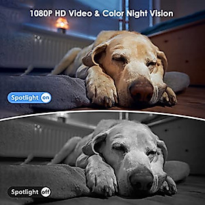 2.4GHz & 5GHz Light Bulb Security Camera Wi-Fi Outdoor, 360° Lightbulb Security Camera 1080P Wireless, Color Night Vision, Motion Detection, Compatible with Alexa/Google, E27/E26 Socket