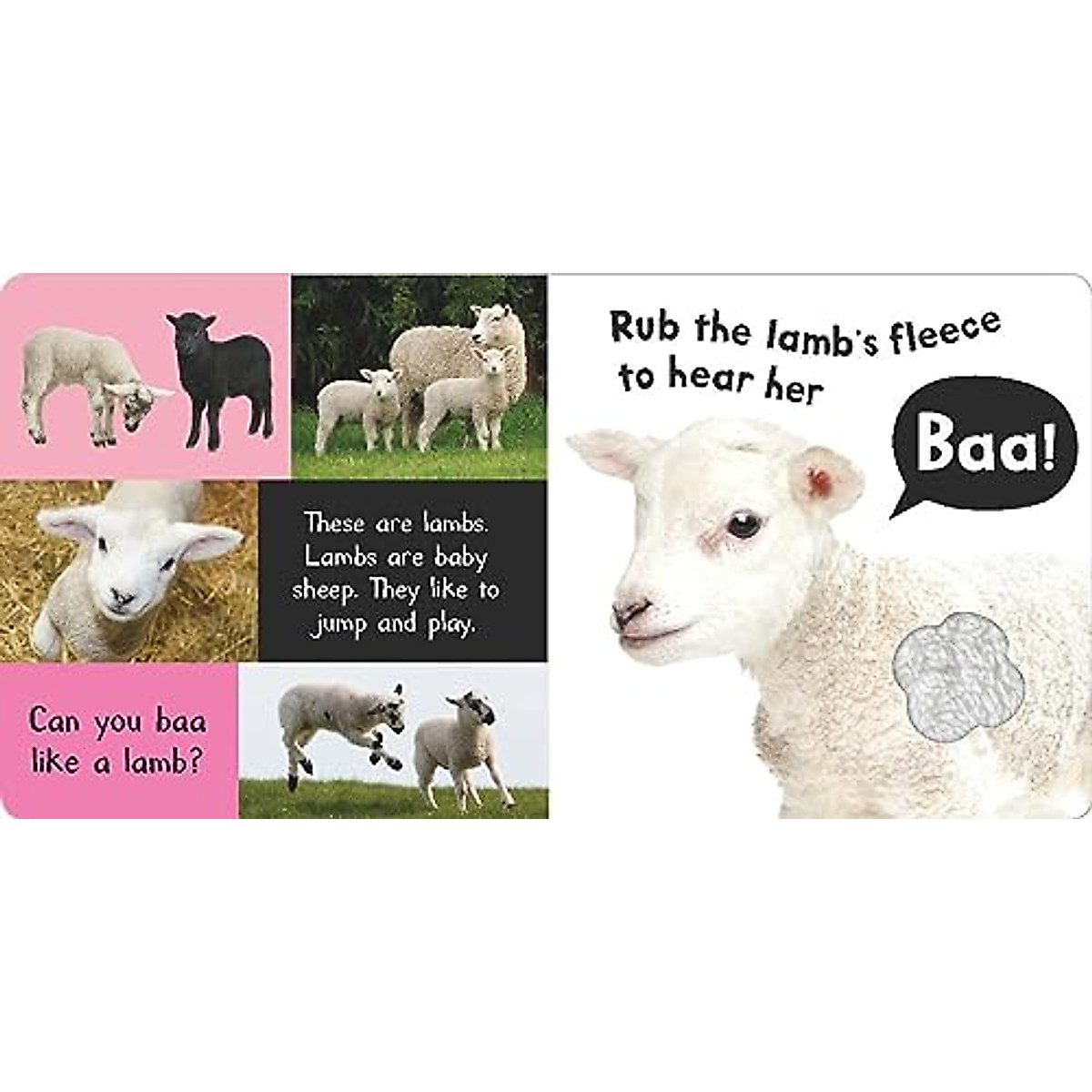 Noisy Farm: Includes Six Sounds! (My First)