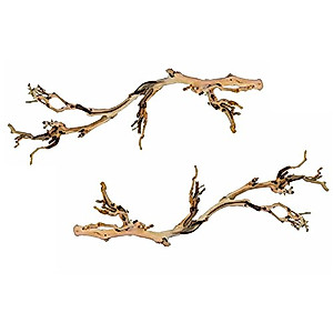 (2 Pack) Exo Terra Forest Branches, Large