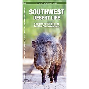 Southwest Desert Life: A Folding Pocket Guide to Familiar Plants & Animals (Nature Observation North America)