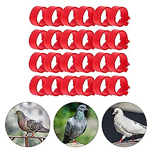 balacoo Duck Leg Rings 100pcs 10mm Racing Pigeon Leg Rings Bird Rings Leg Bands for Pigeon Parrot Finch Canary Hatch Poultry Rings Red Hen Leg Bands