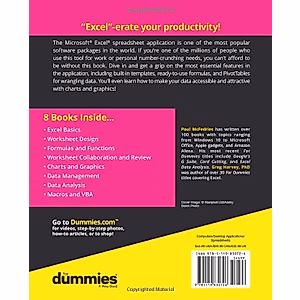 Excel All-in-One For Dummies (For Dummies (Computer/Tech))